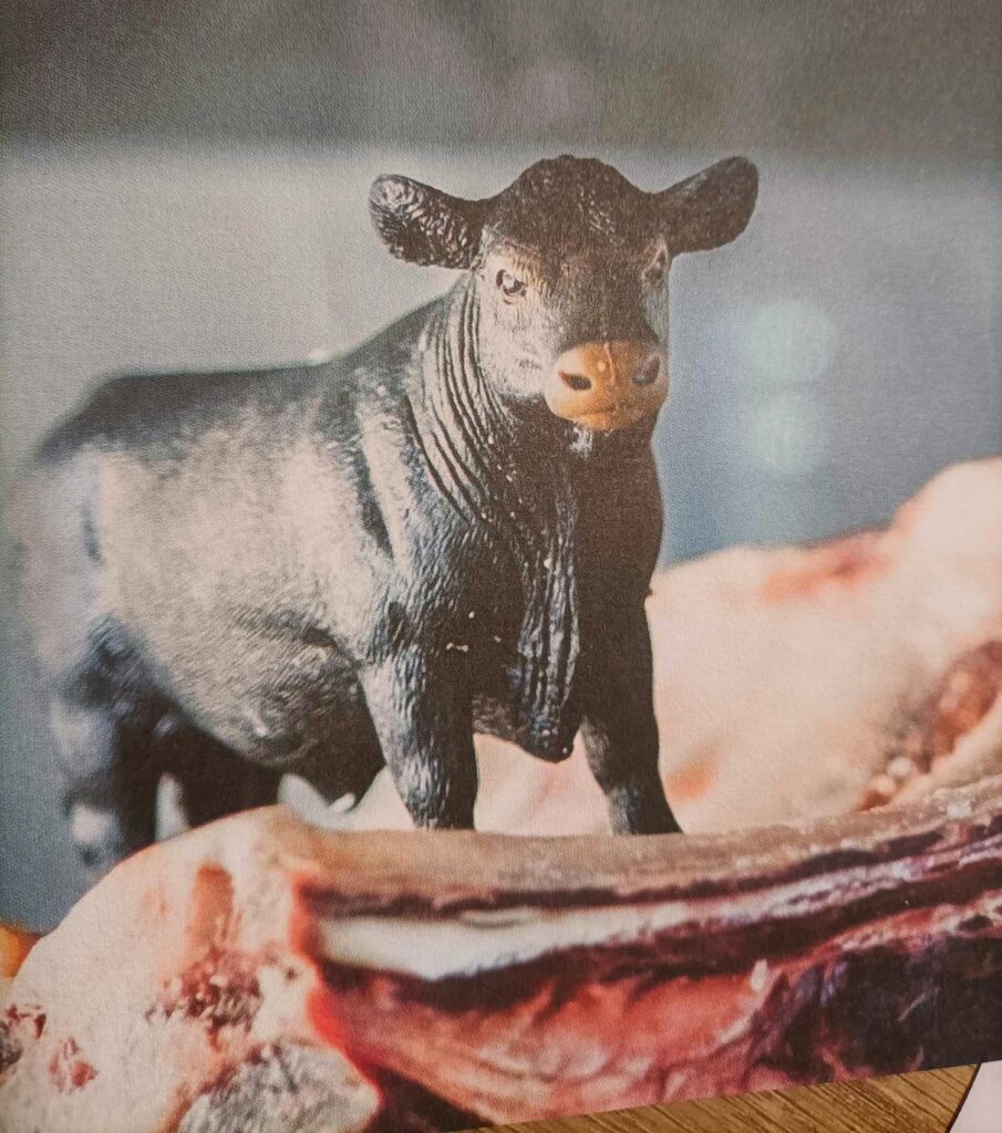 Recept voor steak frites met hemelse dragonsaus. - Gereons Keuken Thuis